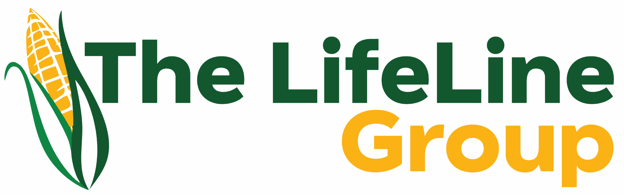 Contact The Lifeline Group | Get in Touch with Our Team Today